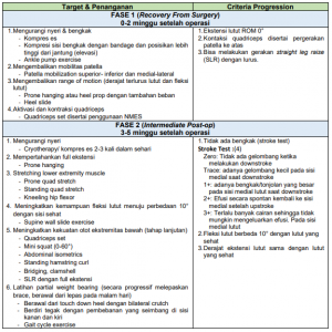 Anterior Cruciate Ligament (ACL) - Penatalaksanaan Fisioterapi ...